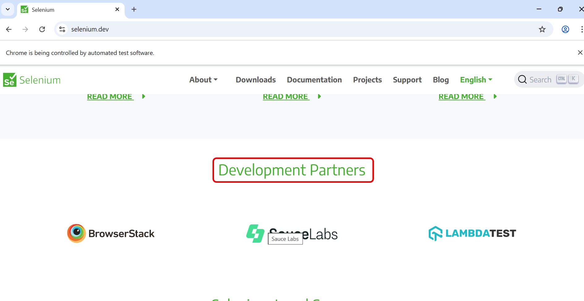 How to Retrieve Text and Background Colors with Selenium in Java – QA Automation Expert